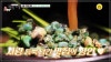 백반기행에서 소개한 올갱이해장국해장국 다슬기해장국 광주 초월 현산올갱이해장국 맛집 탐방 추천 네이버 블로그